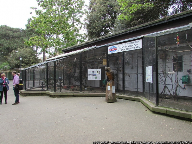 Bournemouth Gardens Aviary to be Rebuilt | Visit Bournemouth